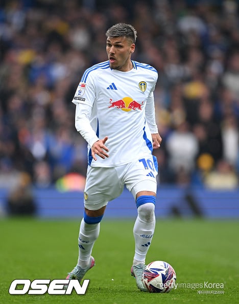 '리즈 시절이 돌아왔습니다'... 눈물의 EPL 승격 따냈다! 리즈, 1부리그 승격 '축배' - 머니투데이