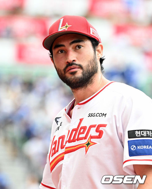 ‘245K 에이스 ML 복귀→美·日 경험 베테랑 영입’ SSG, 화이트 재계약은 어떻게 되나 - 머니투데이