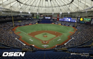 신구장 찾아 헤맨 탬파베이, 마침내 새 홈구장 짓는다…3만석 규모 돔구장 2028년 개장 목표 - 머니투데이